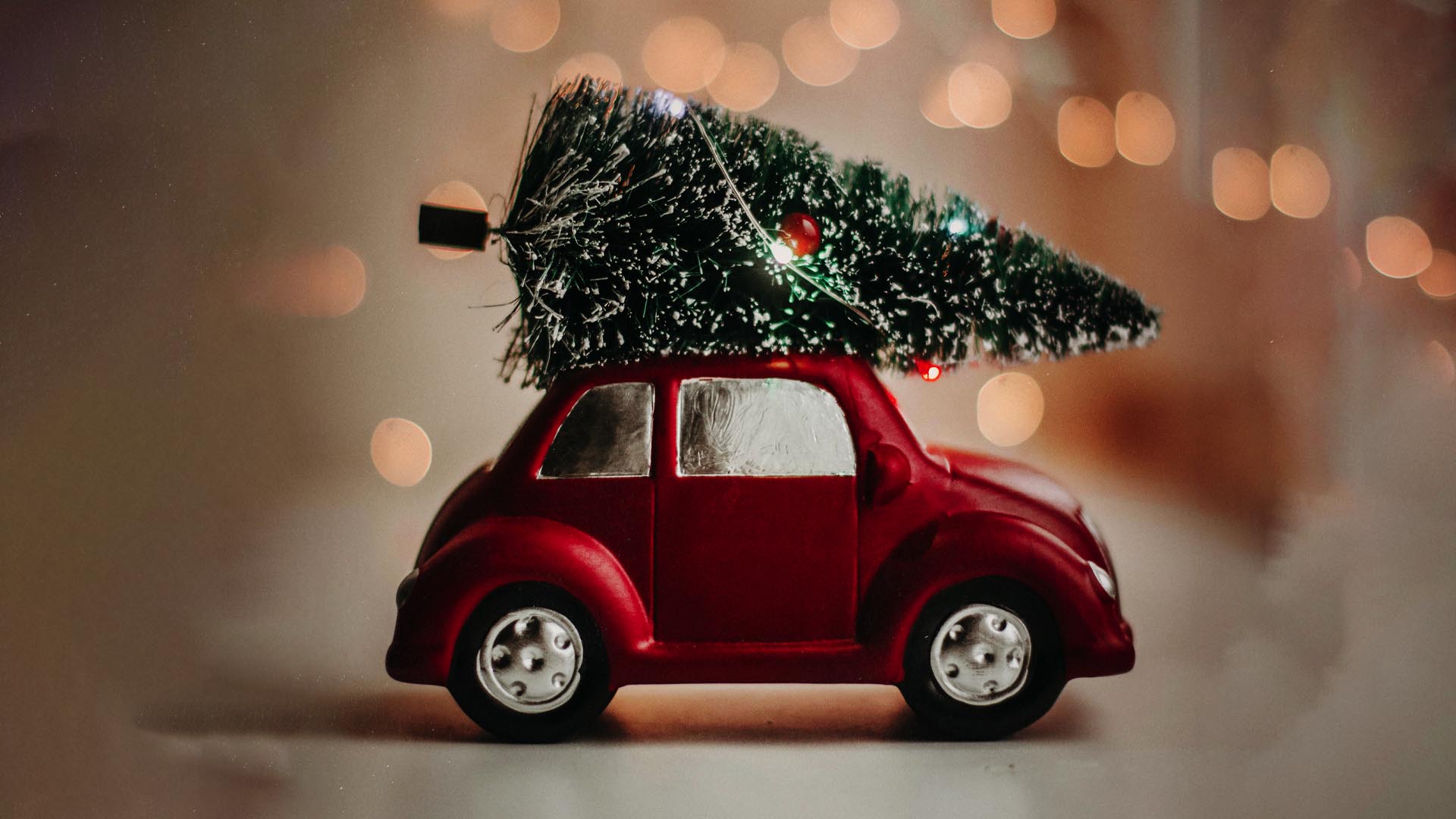 Collecting Christmas Tree's for St. Richard's Hospice